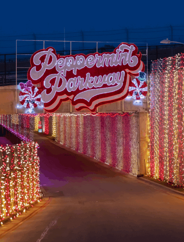 The World of WEC: A Beginner's Guide to Endurance Racing - Home of the ...